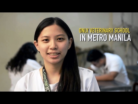 DLSAU Institutional Video 2017 - YouTube