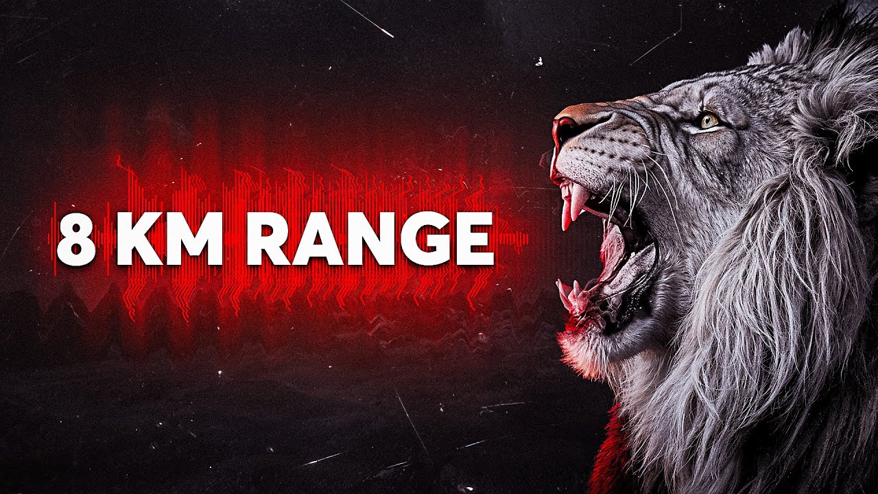 The MOST POWERFUL Roar in The Animal Kingdom - YouTube