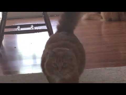 DAM BOY HE THICK - YouTube