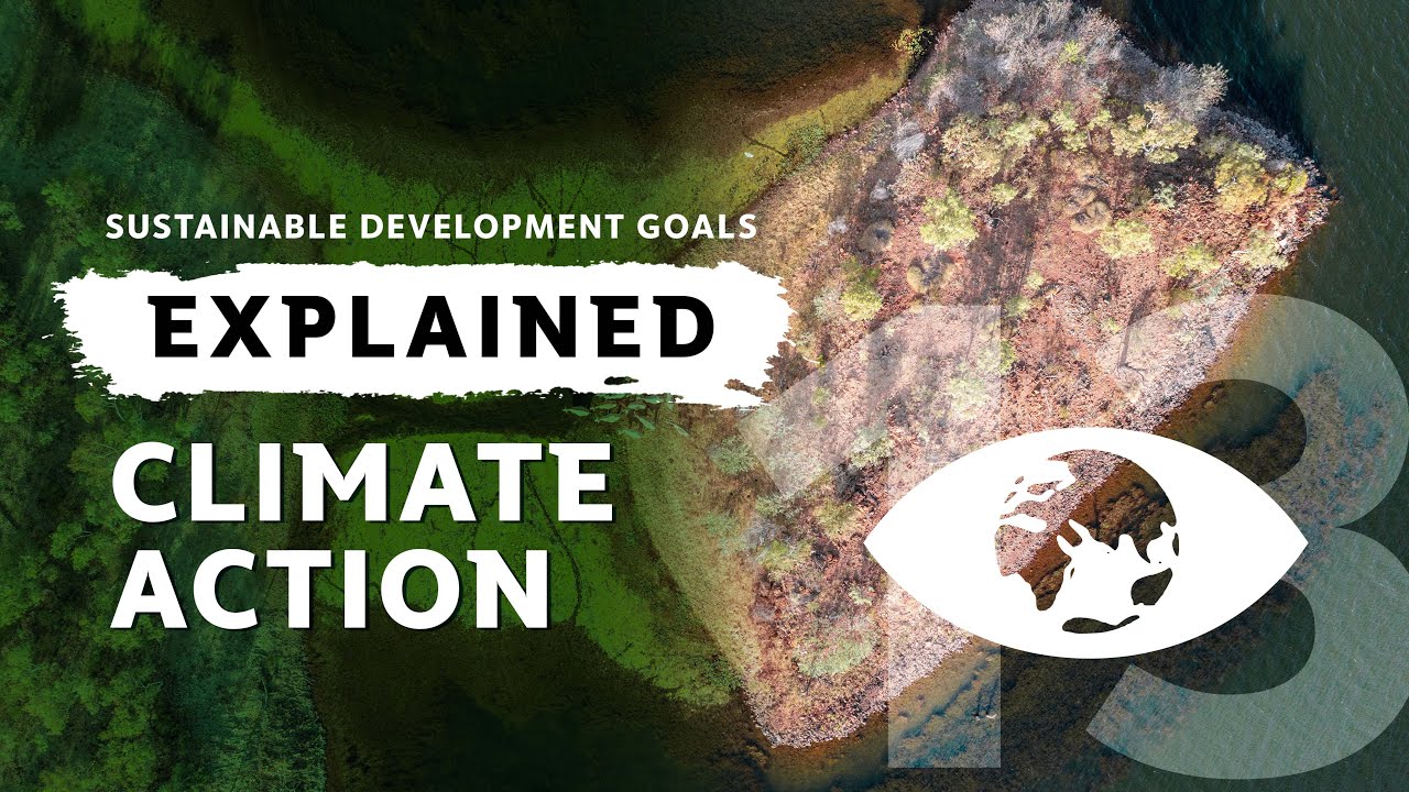 SDGs Explained: #13 Climate Action - YouTube