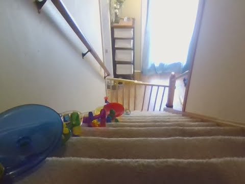 INSANE Marble Run Down The Stairs! - YouTube