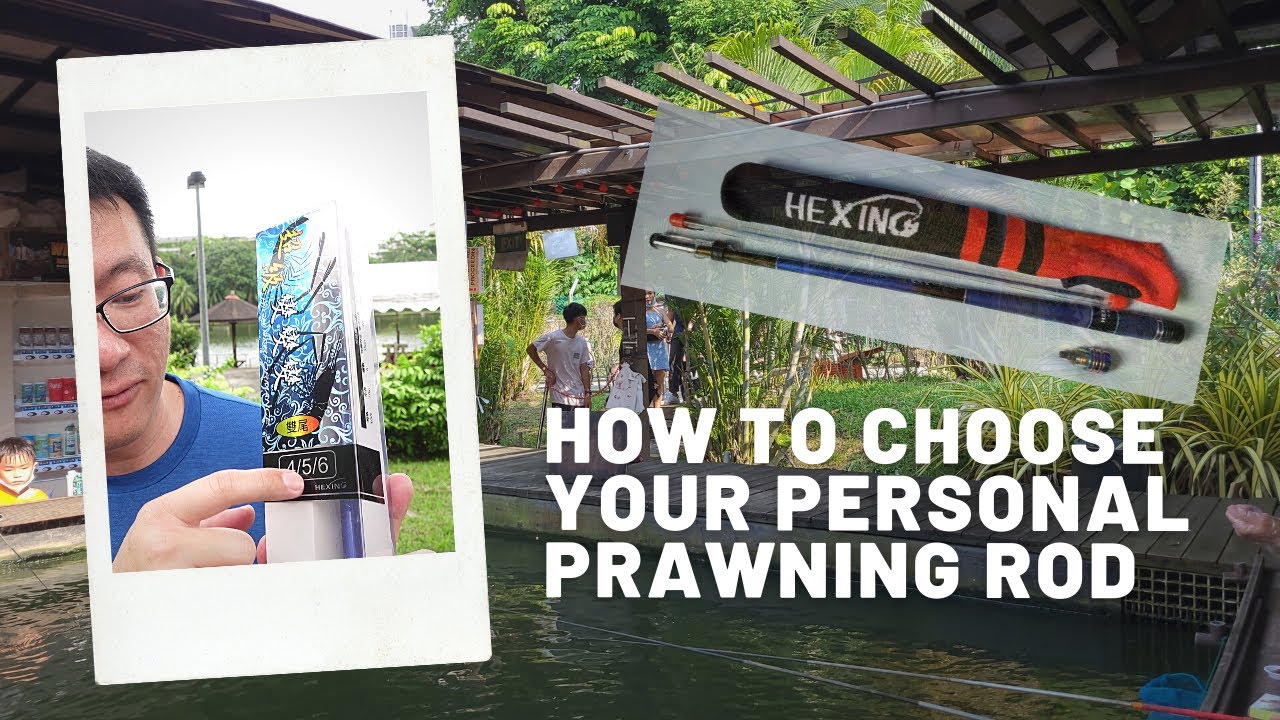 How to choose your personal prawning rod - YouTube
