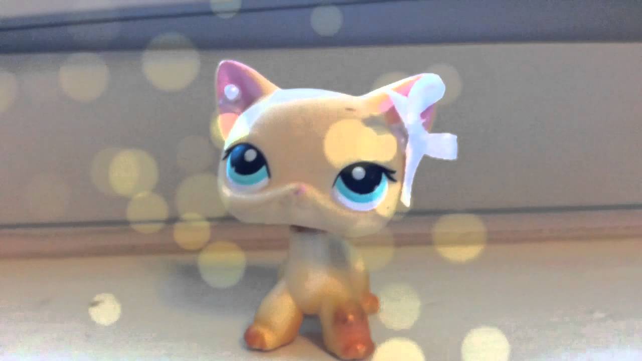 LPS Mv Run 15+ subs Special - YouTube