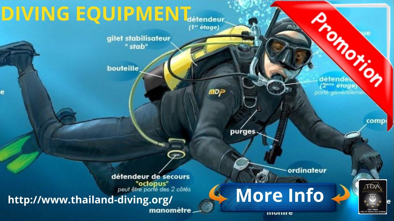 🔦Diving equipment, the basic equipment, we find the fins that allow the ...