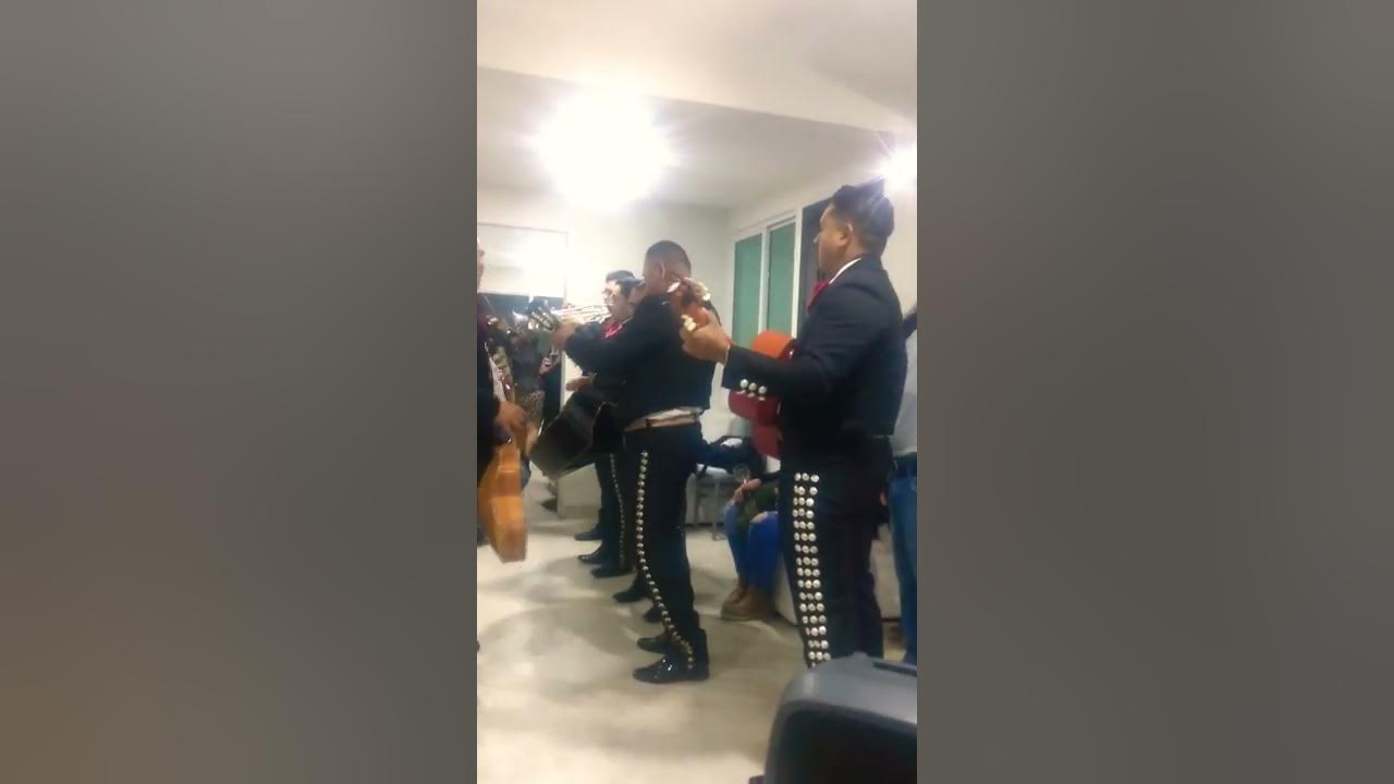 "El jinete" con mariachi el gallo de oro - YouTube