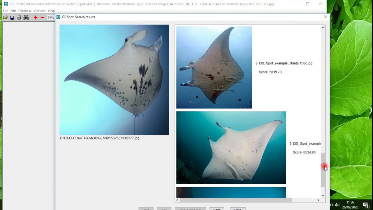 How to Identification Pari Manta Fish with Software I3S Spot - YouTube