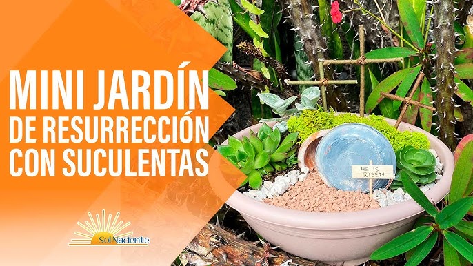 Mini Jardín De Resurrección