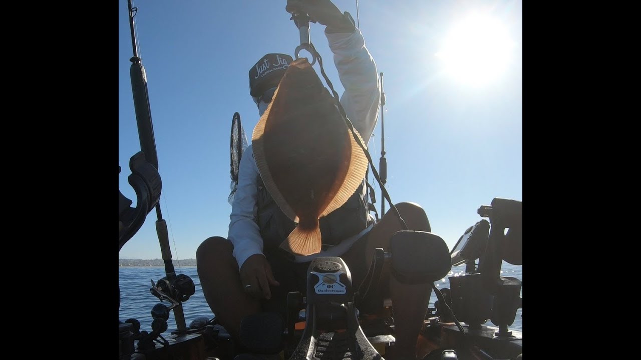 Catching Mud Sharks & Fantail Sole at Redondo Beach from a kayak! - YouTube
