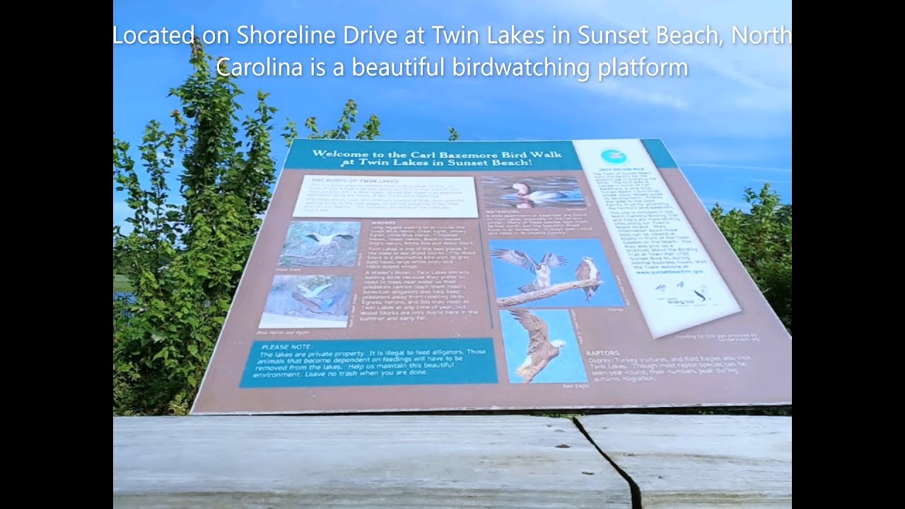 Carl Bazemore Bird Walk - Sunset Beach, North Carolina - YouTube