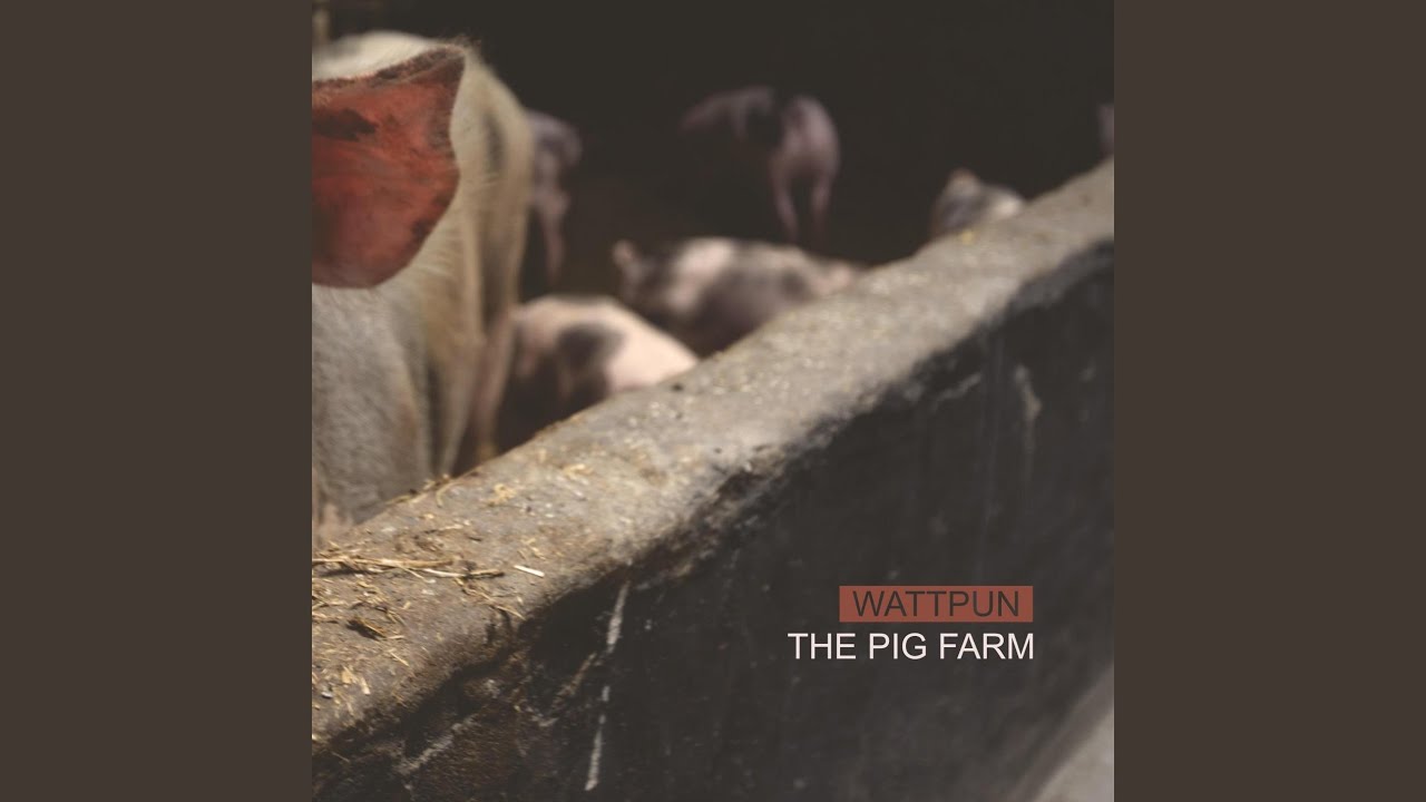Rat shooting at the pig farm - YouTube