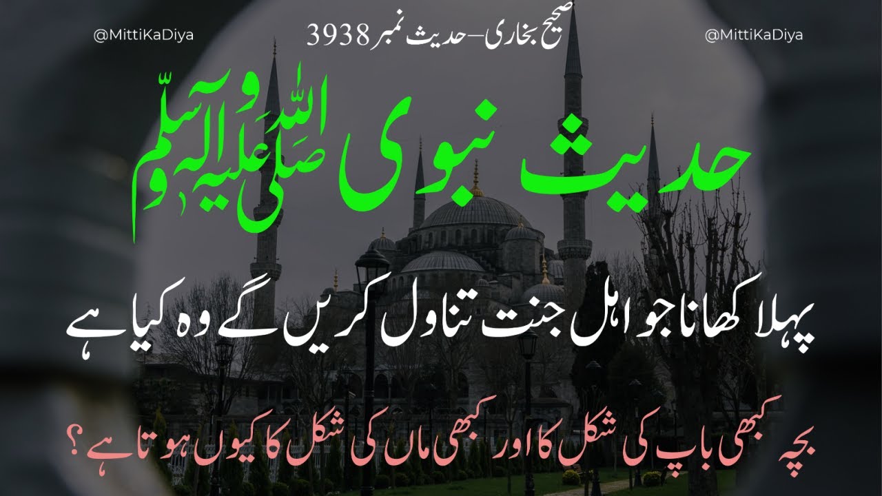bacha kabhi baap ki shakil ka aur kabhi maa ki shakil ka kion? | Hadith ...