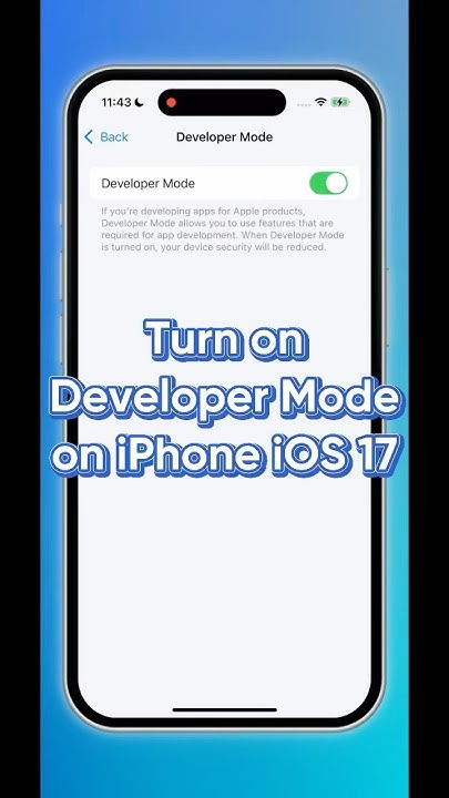 How to Enable Developer Mode on iPhone iOS 17 - Developer Mode Not Showing Fix #shorts - YouTube