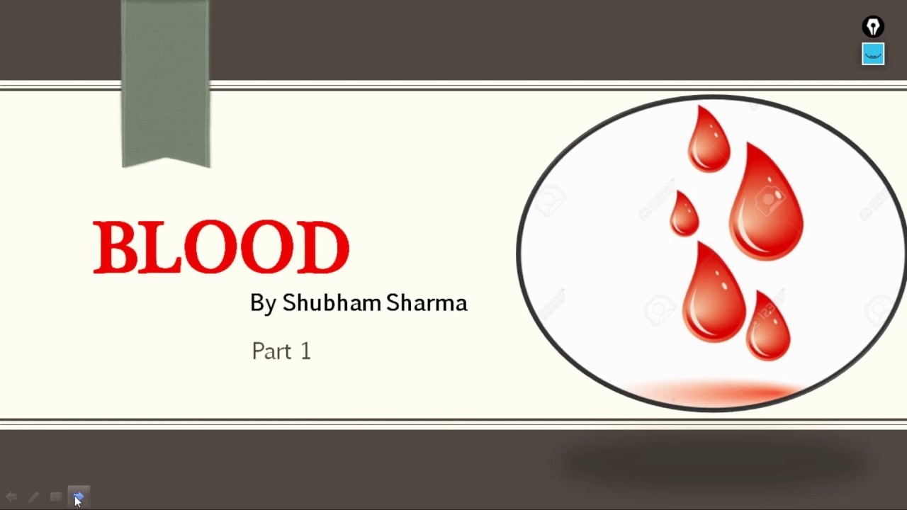 Blood, Part 1 - True Blood:By Shubham Sharma - YouTube