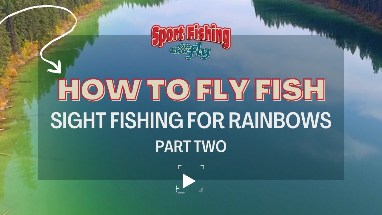 FLY FISHING: SIGHT FISHING FOR RAINBOWS - PART TWO - YouTube