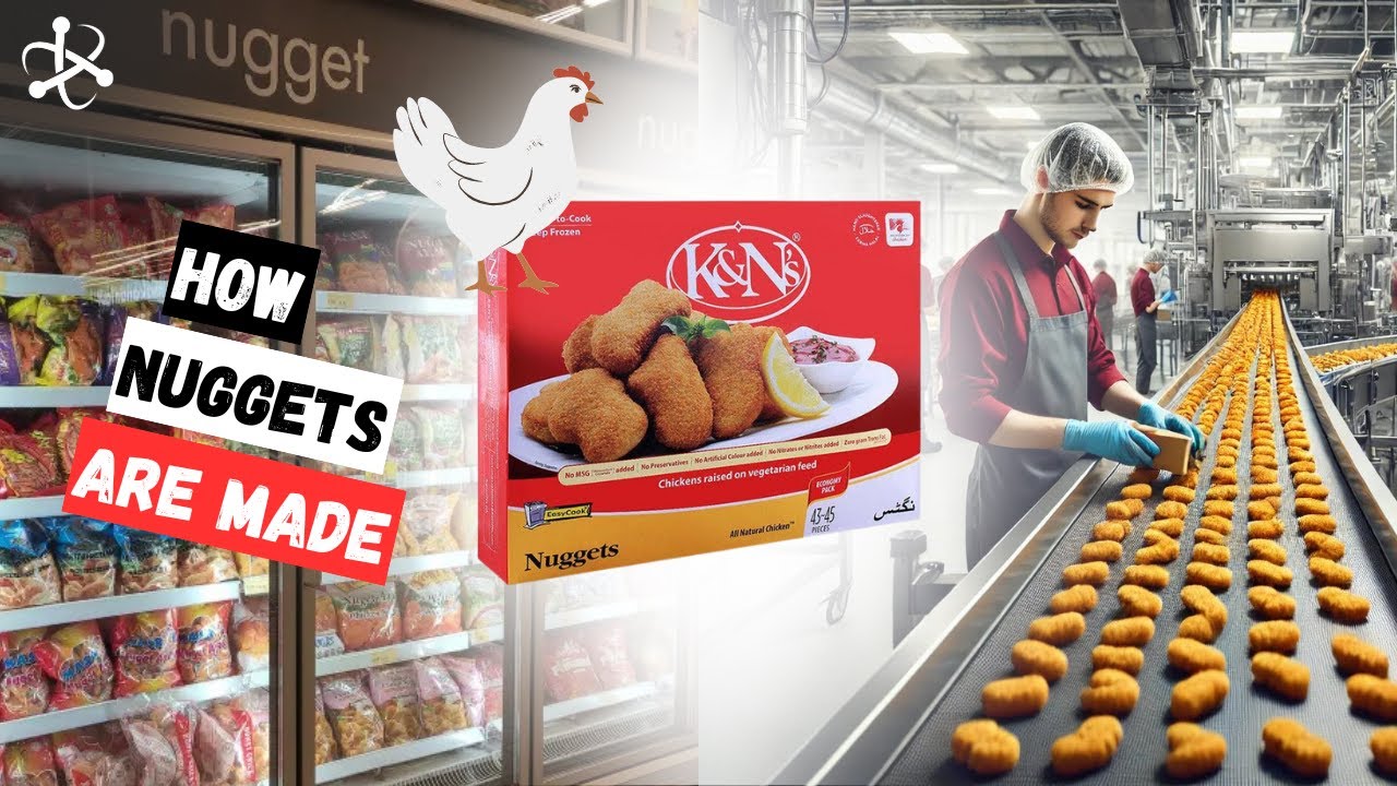 How Chicken Nuggets are Made - From Farm to your Kitchen - YouTube