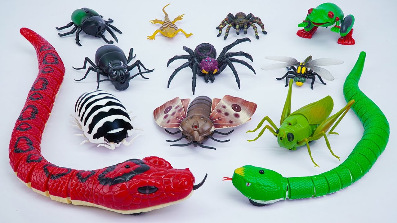 ZURU ROBO ALIVE COLLECTION | UNBOXING Robo Naja Cobra Snake, New Robo ...