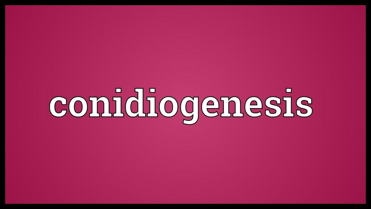 Conidiogenesis Meaning - YouTube