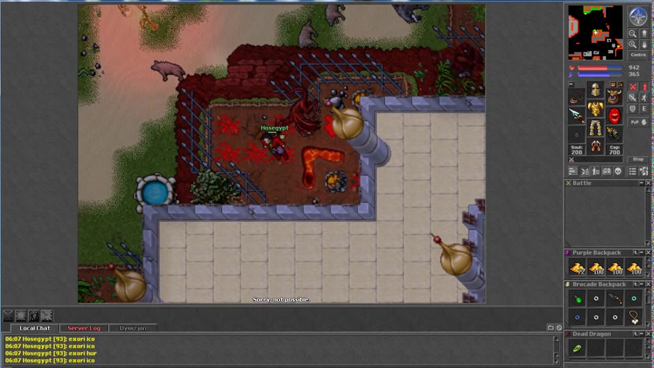 Tibia hunt kill Dragon Lord and wyrm and Giant spider and Massive Earth ...