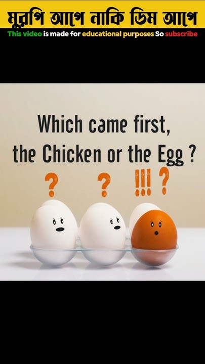 Which Come First , Chicken or Egg 🤔 || মুরগি আগে ,নাকি ডিম আগে ? - YouTube