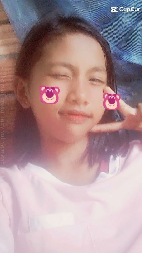 Thao Hong's Instagram, Twitter & Facebook on IDCrawl