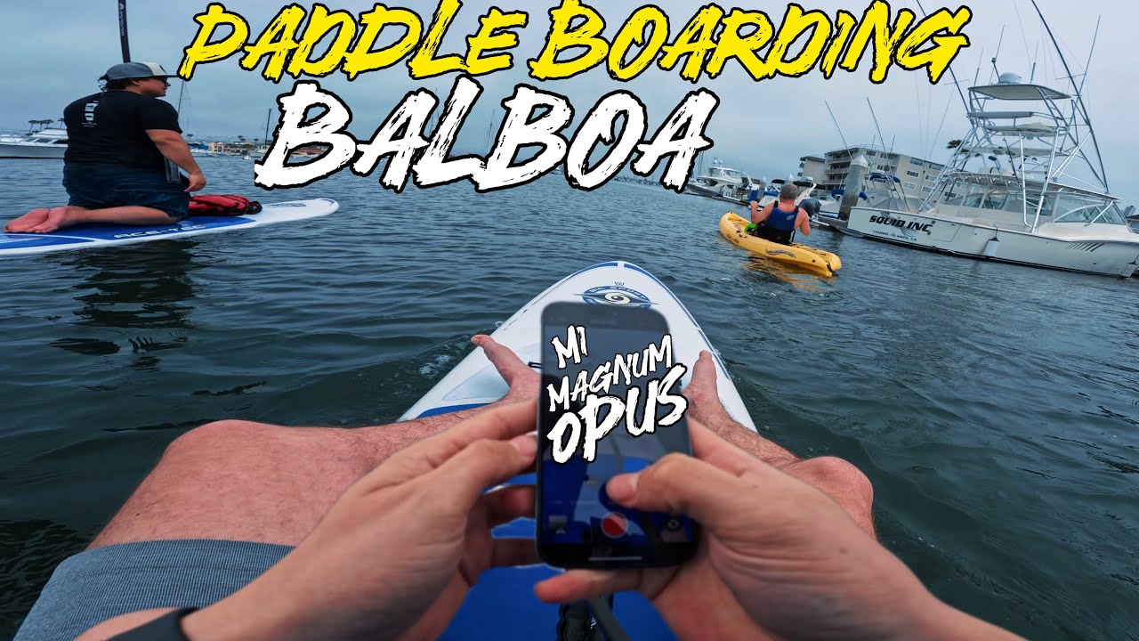 The Paddle Boarding Opus, Balboa California - YouTube