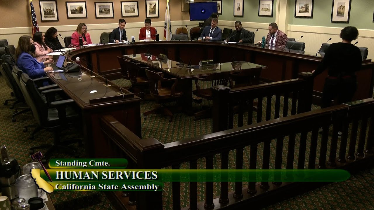 Asm Alex Lee Chairs the Assembly Committee on Human Services 1 - YouTube