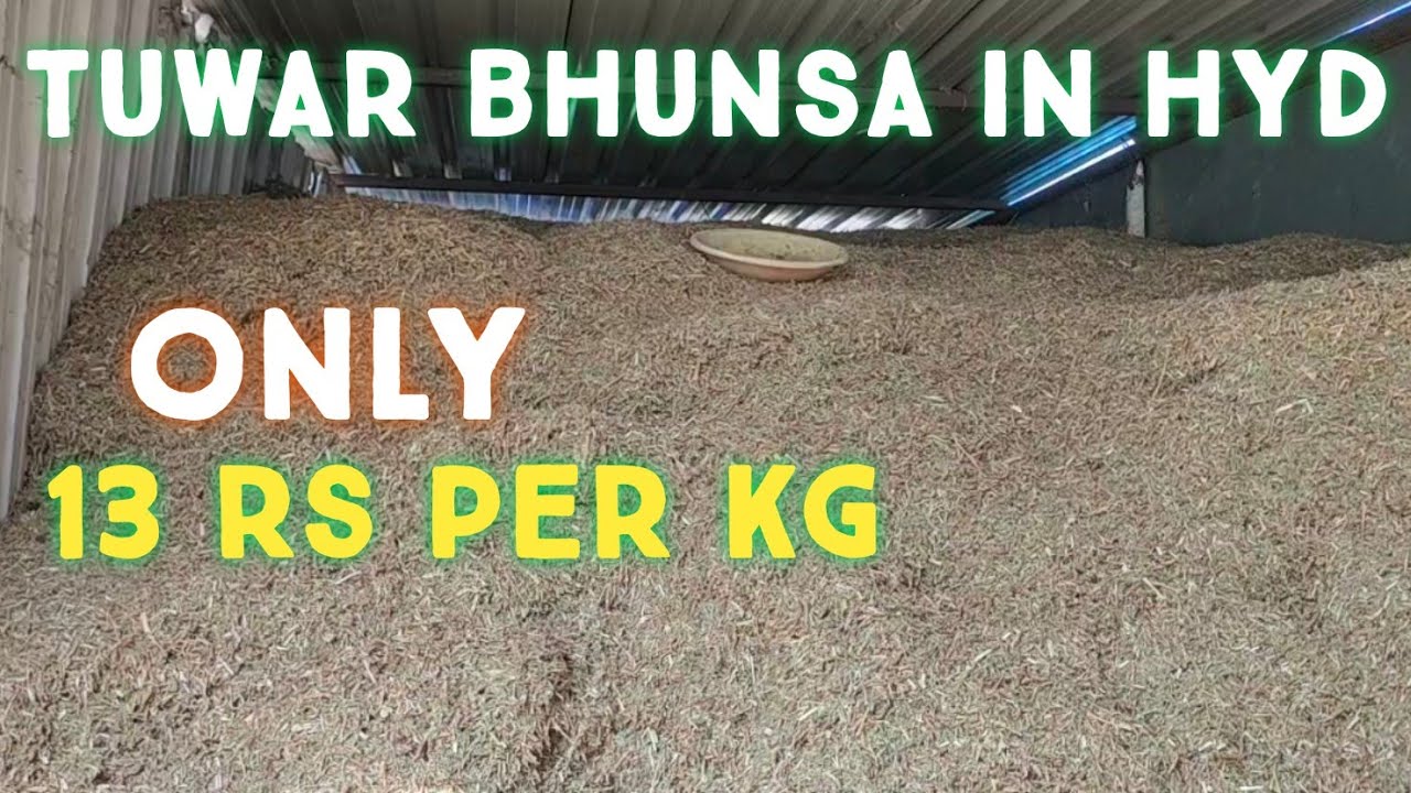 tuwar bhunsa in Hyderabad | goat feed in Hyderabad near ziaguda goat ...