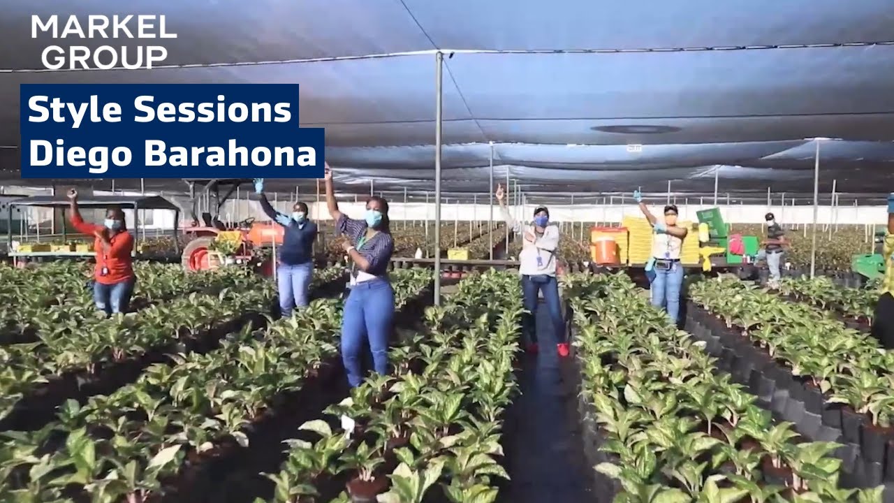 Markel Style Sessions: Diego Barahona and Costa Farms - YouTube