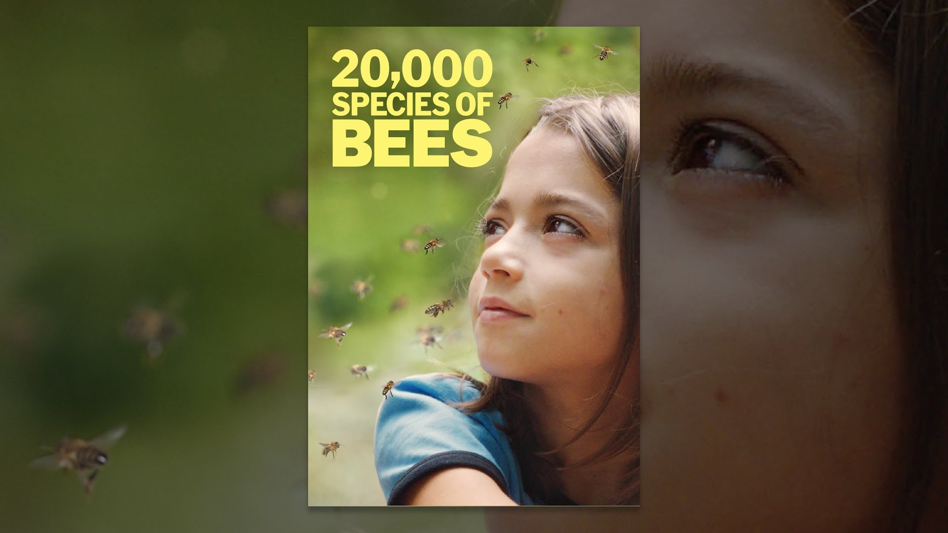 20,000 Species of Bees - YouTube