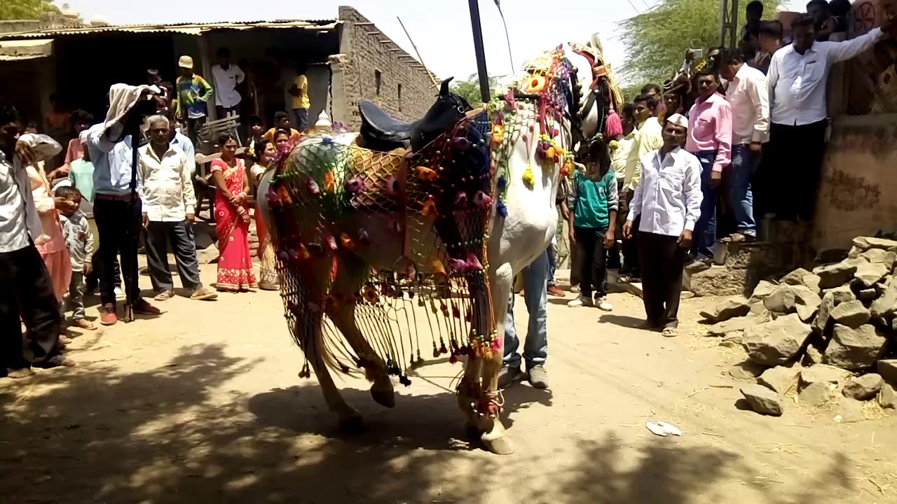 Horse dance on Sawan na mahinama at Ranjane. Tal.shindkheda.dis.dhule ...