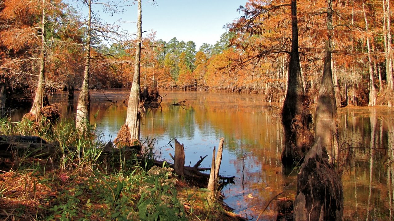 Postcard: Spring Creek Greenway, Greater Houston, Tx, USA - YouTube