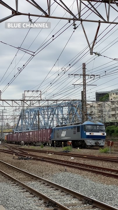 (貨物列車) 2024/05/25 2064レ EF210-15 + コキ25B (百済タ〜東京タ) #Shorts - YouTube