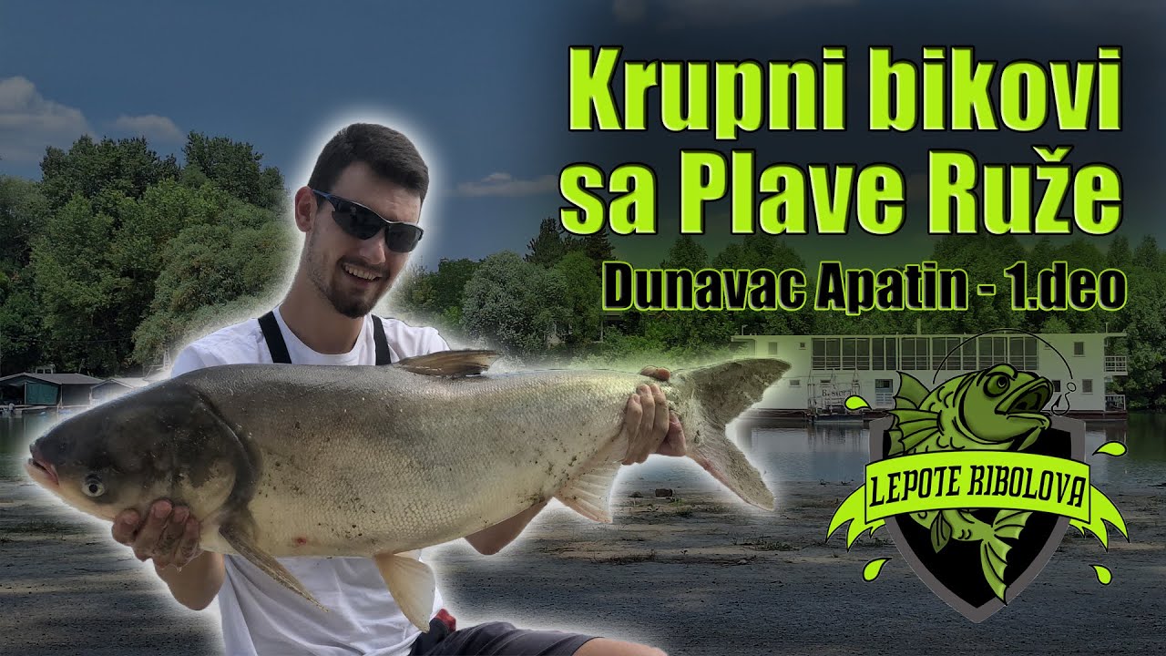 Pecanje tolstolobika na tehnoplankton - 1.deo | dunavac, Apatin - Plava ...