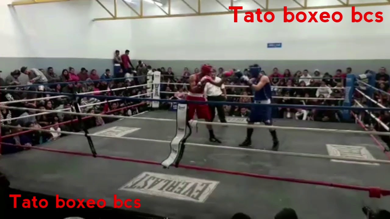 Isaac La Bestia Lucero Jr Vs José Lozano TIJ 1 Guerra en el Norte Tato ...