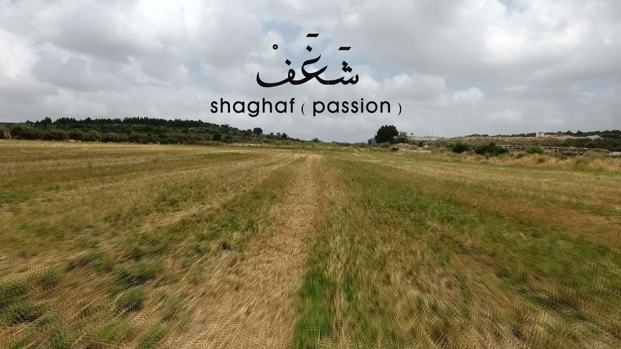 موسيقى حسام حايك شغف Shaghaf Passion Music By Hosam Hayek Youtube