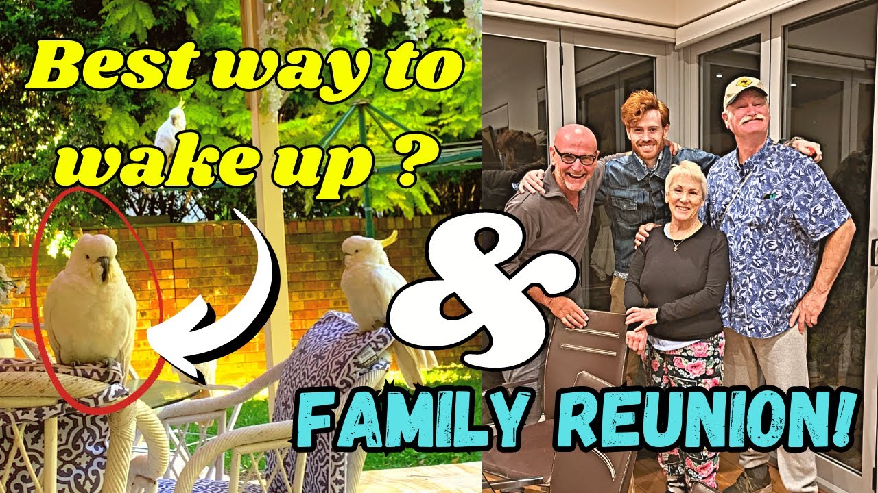 First impressions of Sydney, father returning after 20 years and family ...