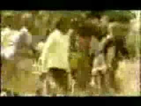 [AC CM]公共広告機構 いのちの枝 WFP - YouTube