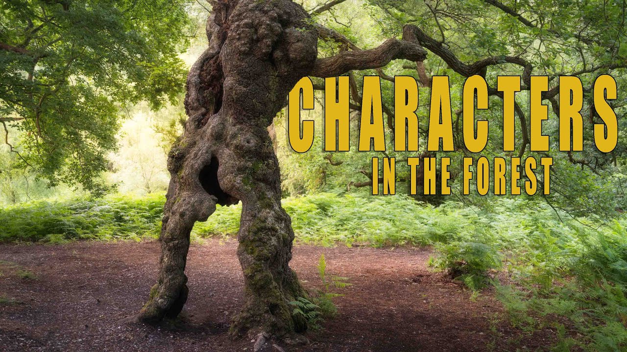 Characters in The Forest - A Walk and Talk with Eddie Skelson ...