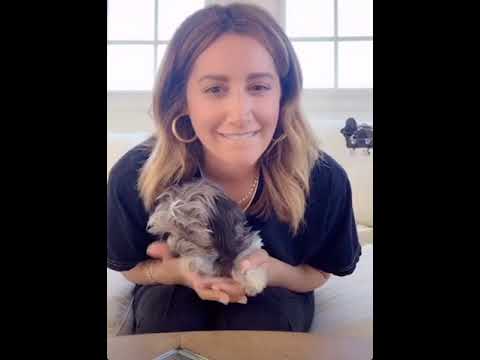 Ashley Tisdale TikTok Live (4-1-2020) - YouTube