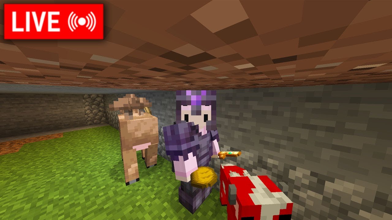 Minecraft SMP Live - Building the Nether Hub! - YouTube