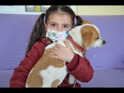 Cemre'nin \