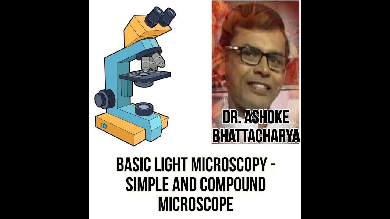 Basic Light Microscopy-Simple and Compound Microscopes - YouTube