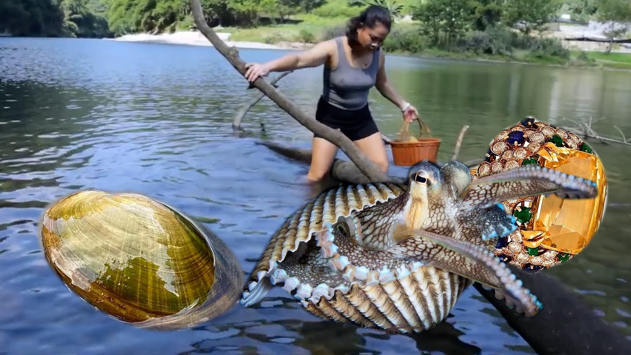 Uncover the mysterious treasure! A huge clam with enchanting pearls was ...