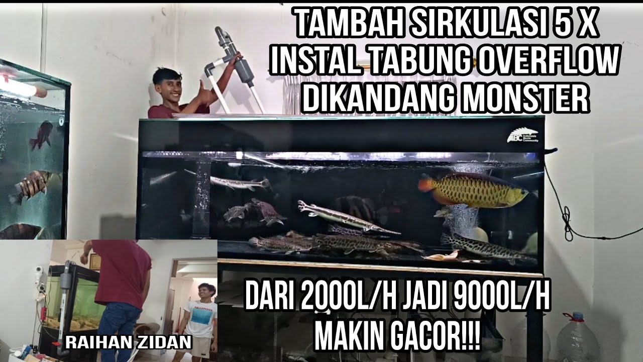 Instalasi 2 Tabung Overflow Di Tank Ikan Purba. Penambahan input Dasar ...