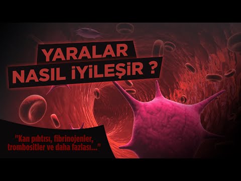 YARALAR NASIL İYİLEŞİR? | KAN NEDEN VE NASIL PIHTILAŞIR?