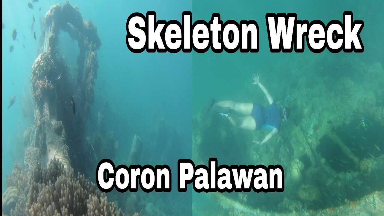 Snorkeling at Skeleton Wreck Coron Palawan - YouTube