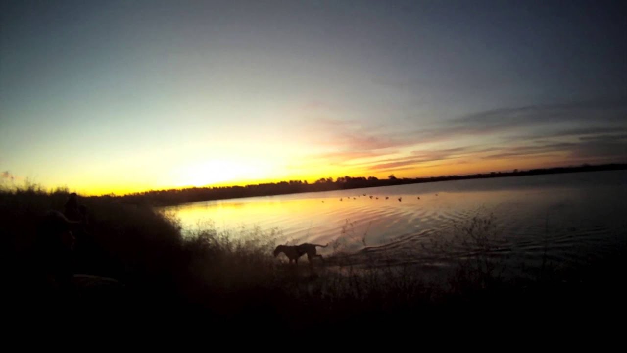 Early Morning Duck Hunt - GoPro - YouTube