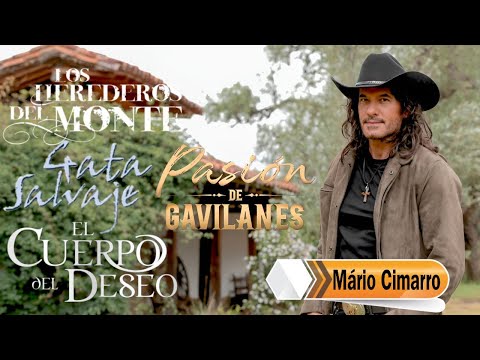 ENTREVISTA CON MARIO CIMARRO
