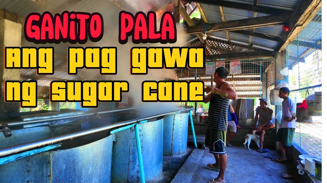 Ganito Pala Ginagawa ang Muscovado Sugar: Step-by-Step Process! - YouTube