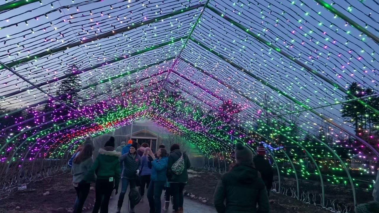 Boothbay Light show - YouTube